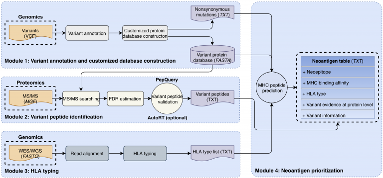 NeoFlow – Zhang Lab